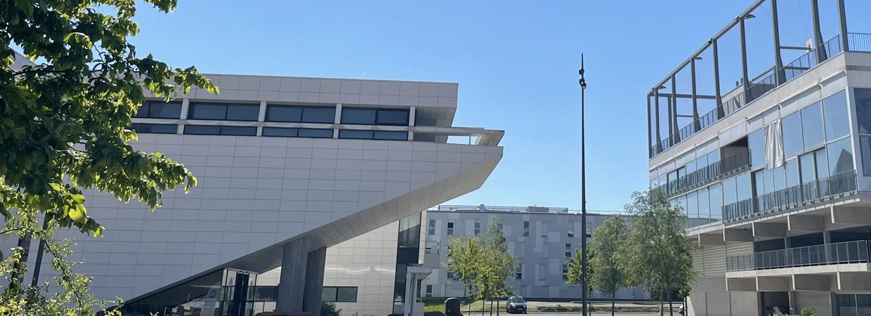 Organisation | Polytech Paris-Saclay